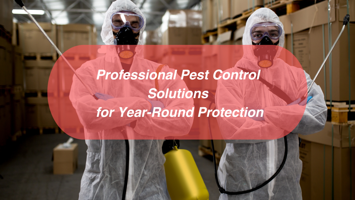Professional Pest Control Solutions for Year-Round Protection